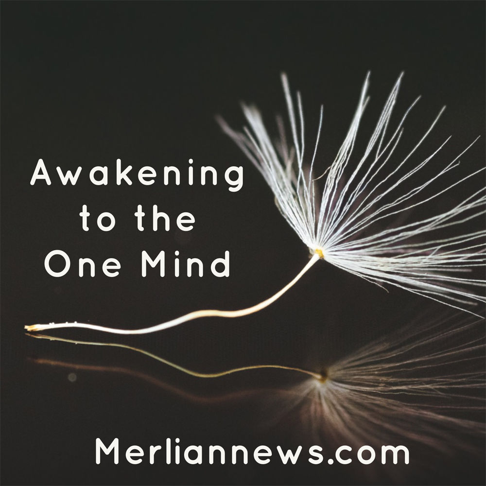 Awakening to the One Mind - Merlian News