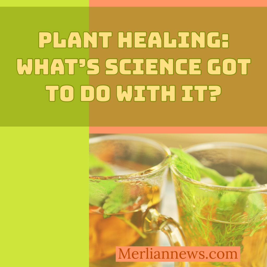 Plant Healing: What's Science Got to Do With It? By Susun Weed ...
