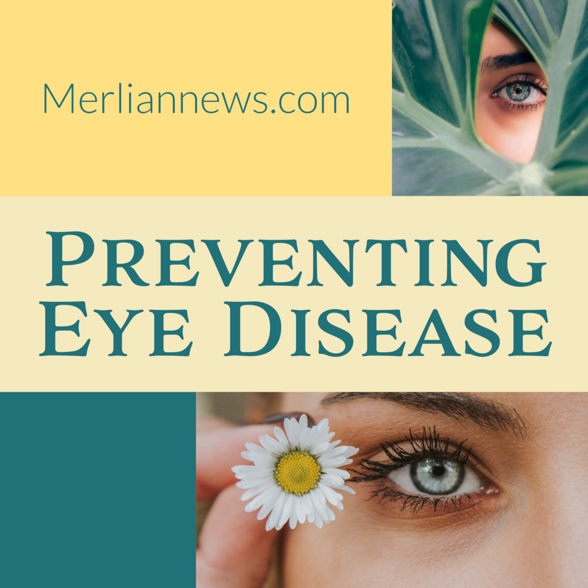 Preventing Eye Disease by Marc Grossman, O.D., LAc & Michael Edson, M.S ...