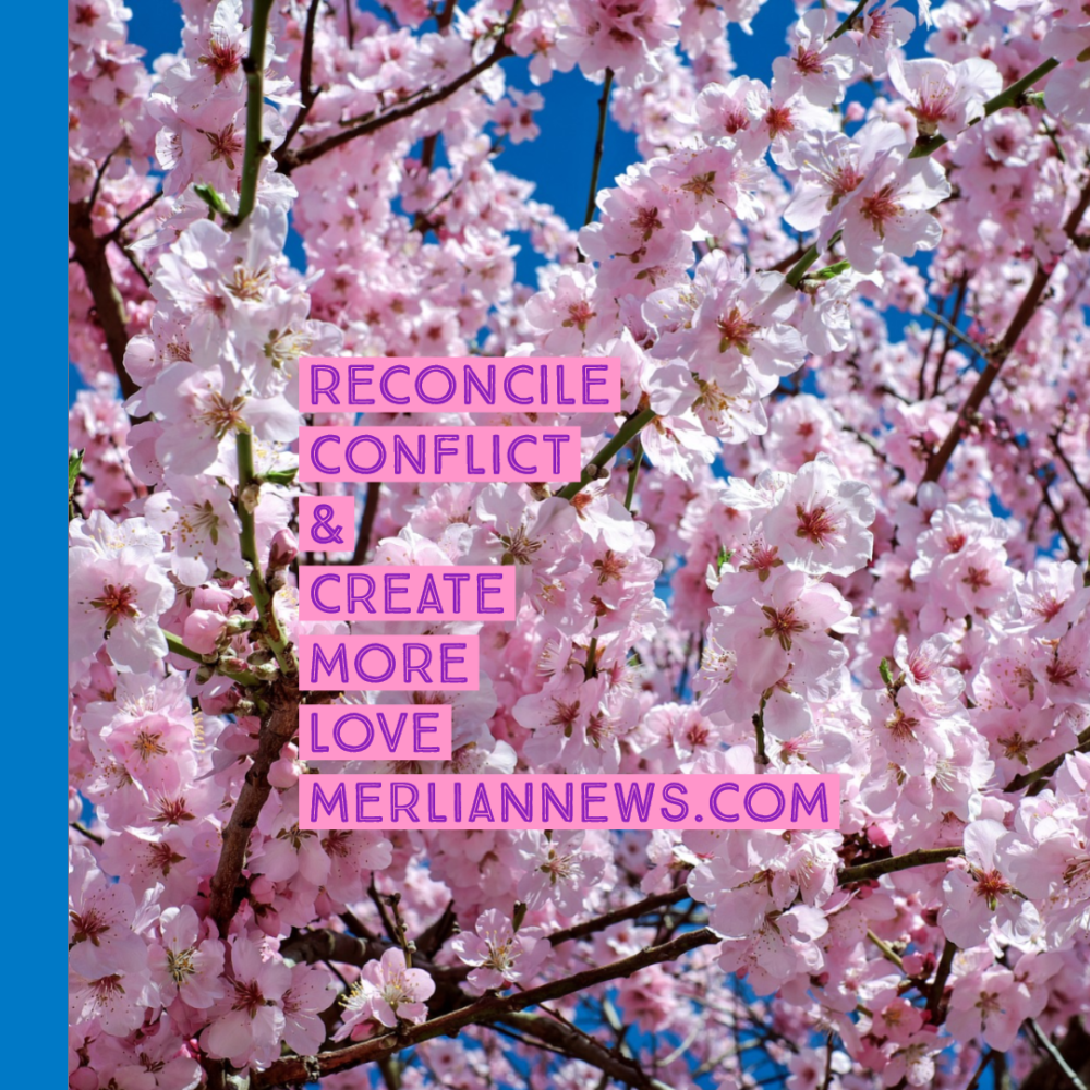 Reconcile Conflict and Create More Love by Serina Aramaki - Merlian News