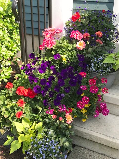 Show Your Rainbow Colors for June - Merlian News